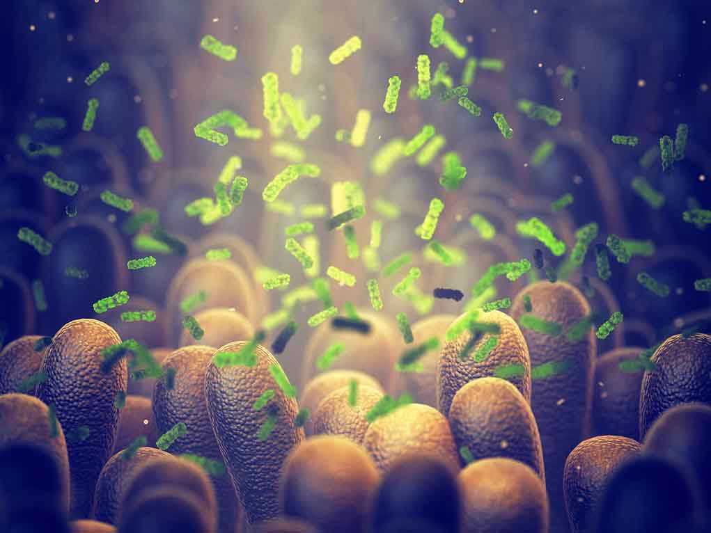 Deadly Superbug Invades 27 States – Medical Crisis | Straight News